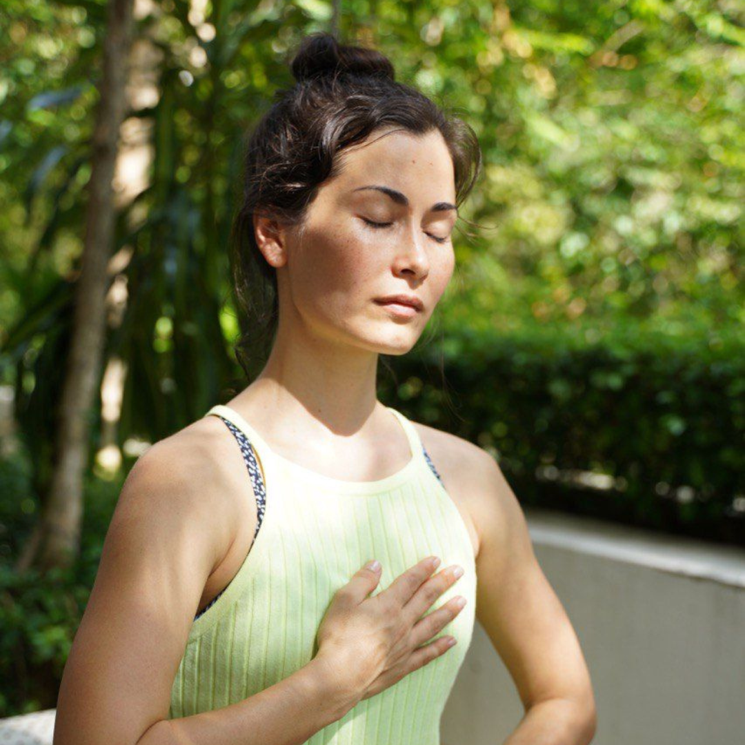 Our Teachers - Damai Studio